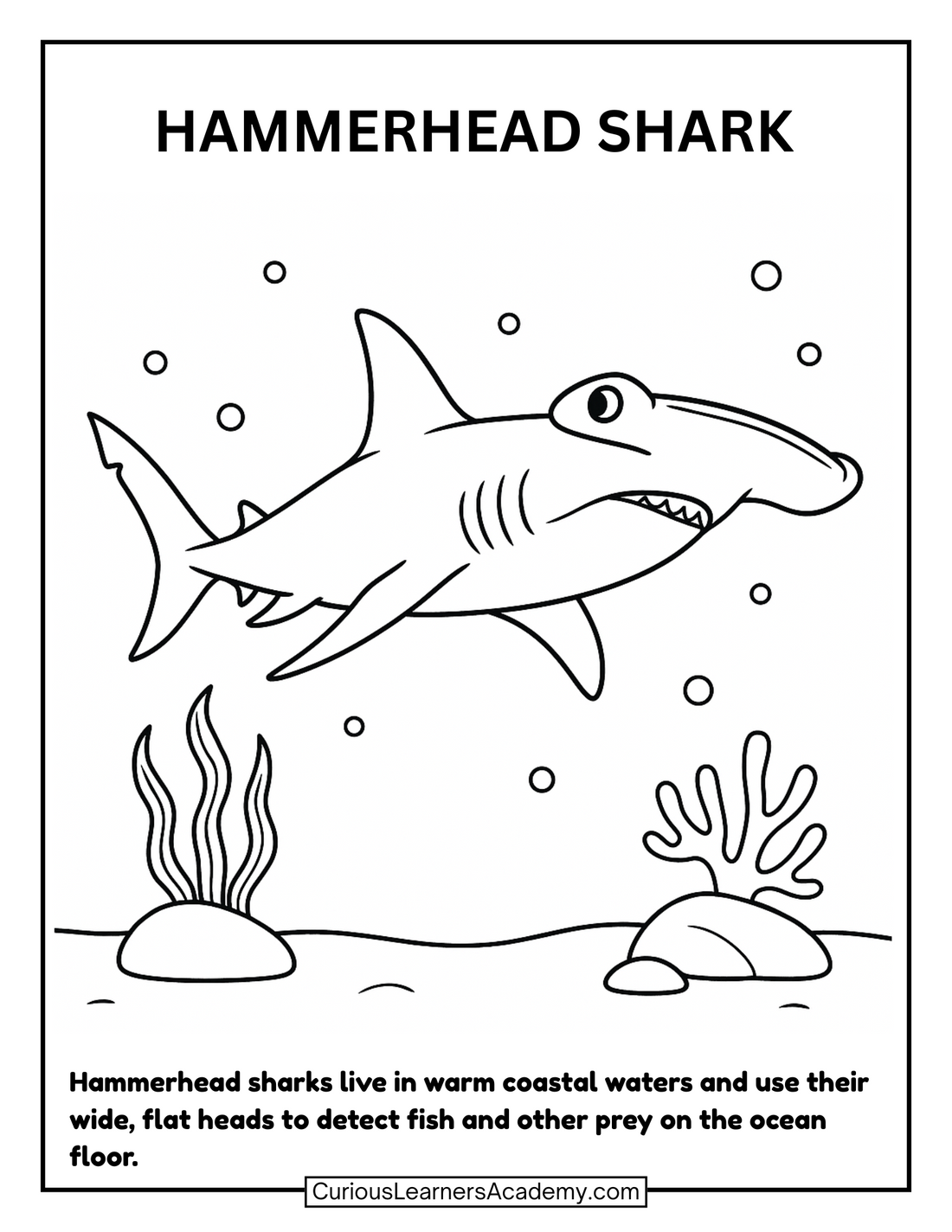 Free Hammerhead Shark Coloring Page | Ocean Science Activity for Kids ...