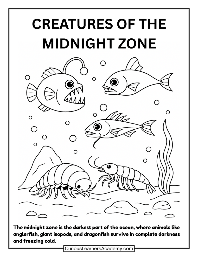 Free Ocean Coloring Page – Creatures of the Midnight Zone | Deep Sea S ...