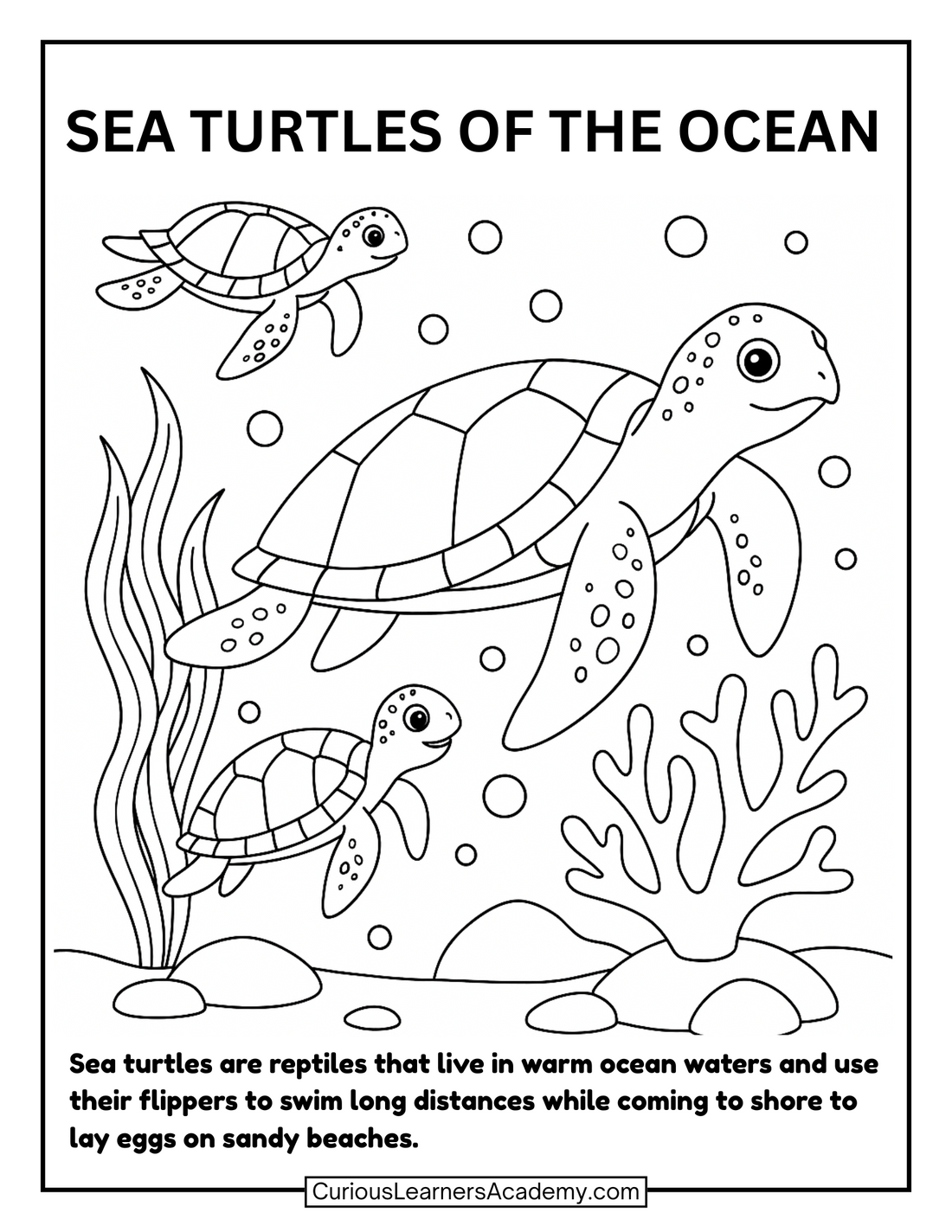 Free Sea Turtle Coloring Page | Ocean Animals Science Printable for Ki ...