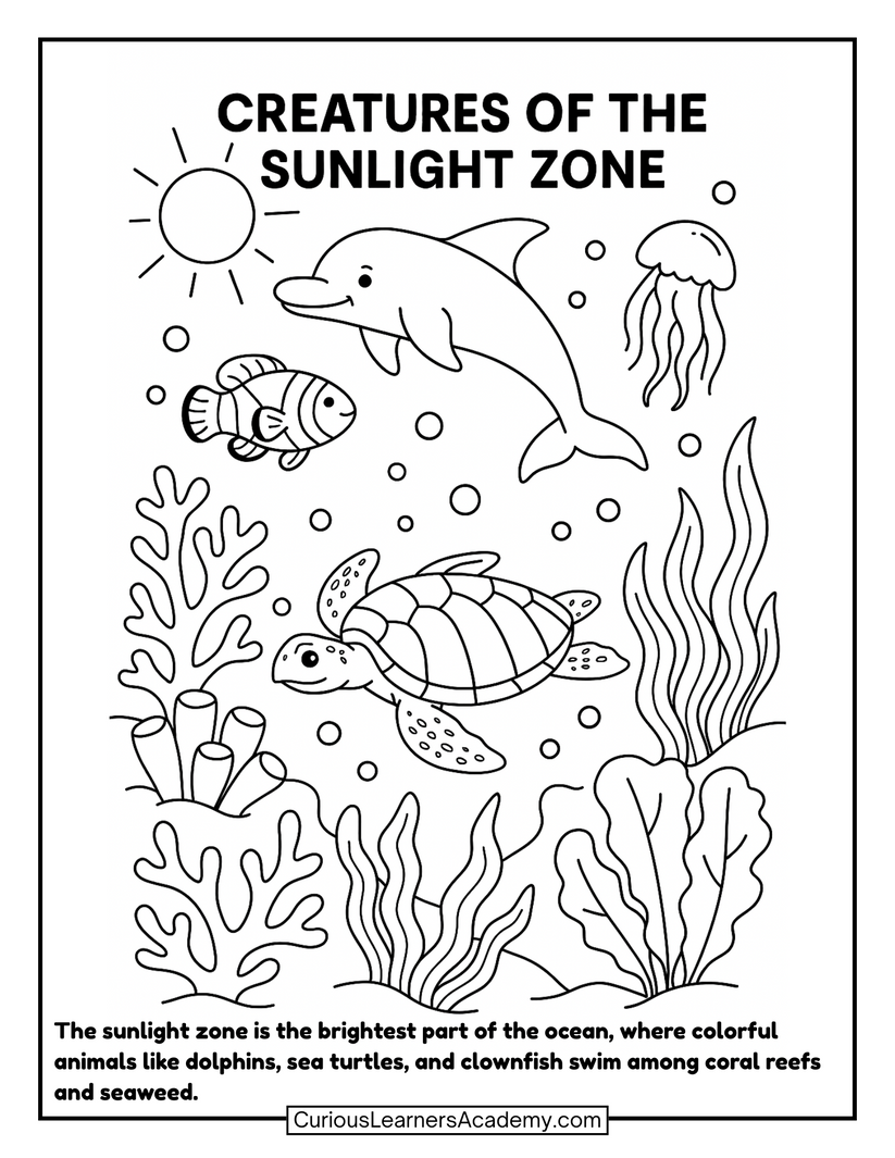 Free Ocean Coloring Page – Creatures of the Sunlight Zone | Printable ...